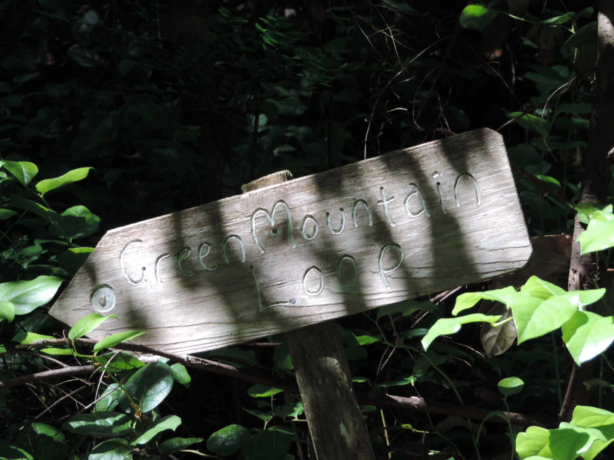 Cortes Island (Northern Gulf Islands) - Adventures for Everybody