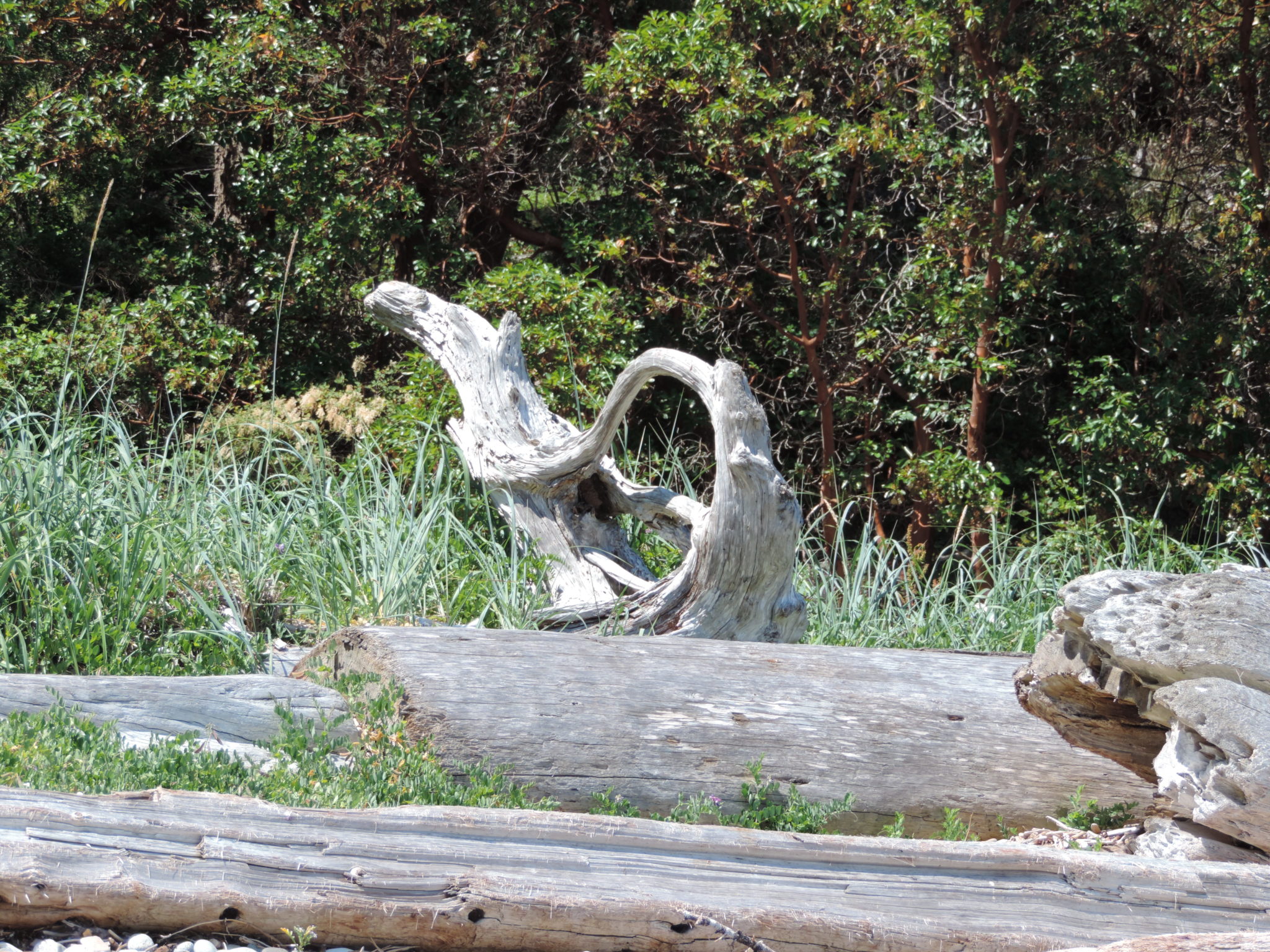 Cortes Island (Northern Gulf Islands) - Adventures for Everybody