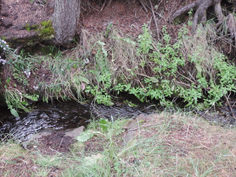 Chasm Provincial Park (Cariboo Chilcotin Region) - Adventures for Everybody