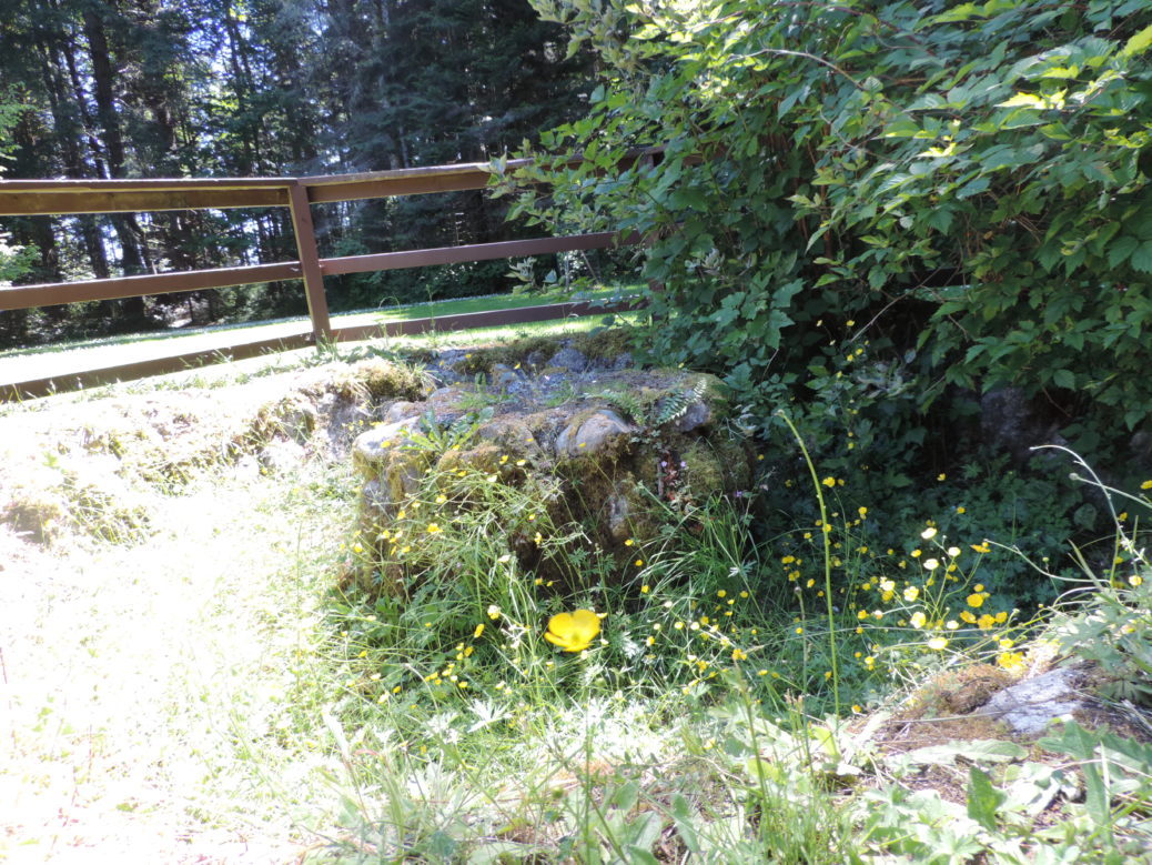 Fillongley Provincial Park - Adventures for Everybody
