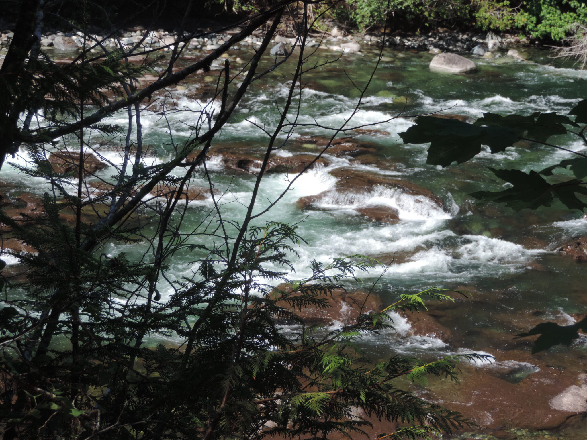 Stamp River Provincial Park - Adventures for Everybody