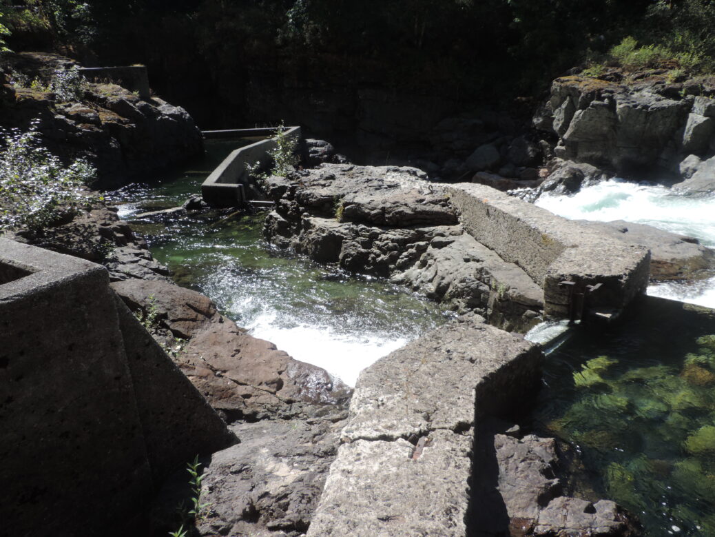 Stamp River Provincial Park - Adventures for Everybody