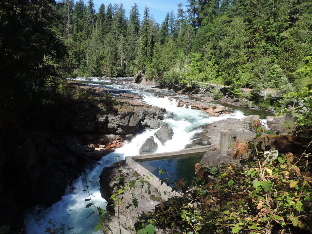 Stamp River Provincial Park - Adventures for Everybody